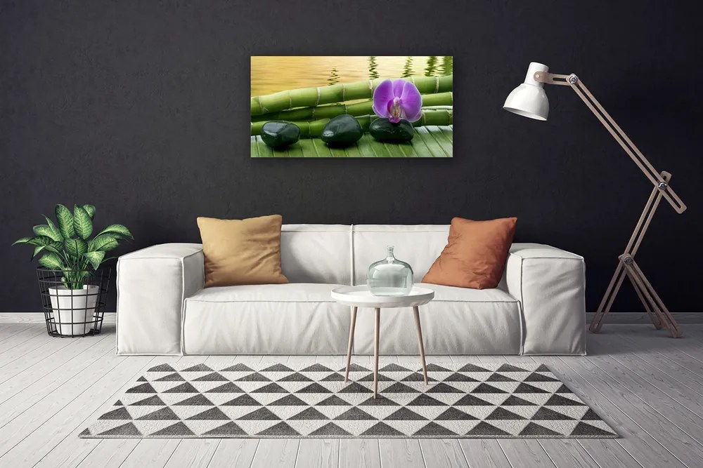 Obraz na plátně Květ Kameny Bambus Příroda 100x50 cm