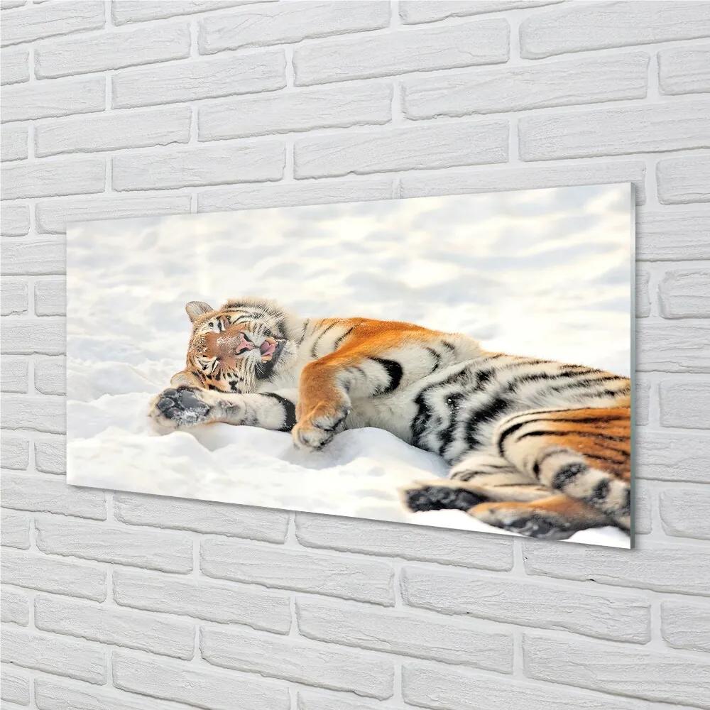 Obraz na skle Tiger winter 100x50 cm