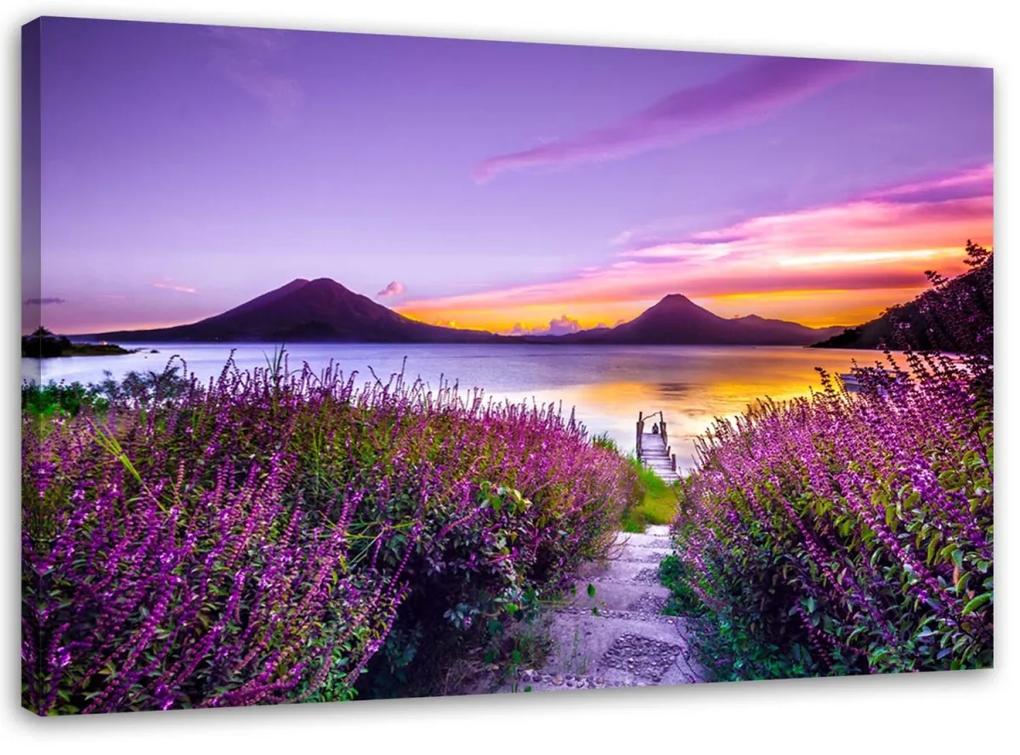 Obraz na plátně Krajina Levandulového jezera - 100x70 cm