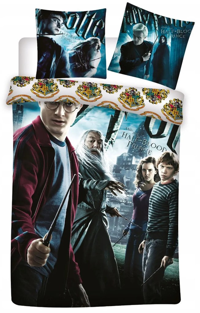 DĚTSKÉ BAVLNĚNÉ POVLEČENÍ HARRY POTTER 135X200 CM, 1KS 80X80 CM VZOROVANÉ