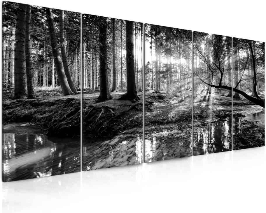 Malvis Malvis Obraz černobílá pohoda lesa  200x90 cm