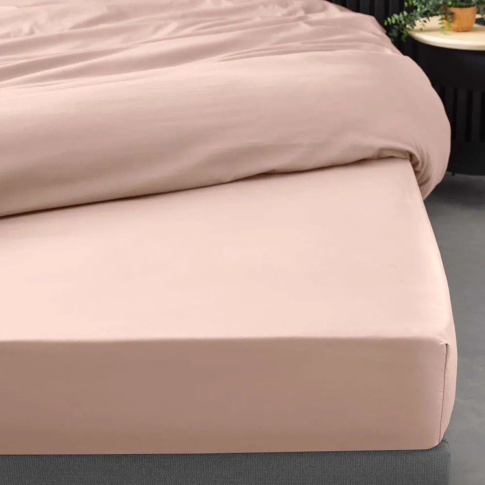 Růžové napínací prostěradlo z bavlněného perkálu 180x200 cm Percaline – douceur d'intérieur