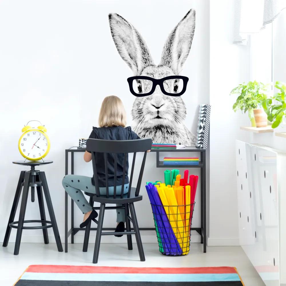 Samolepka na zeď - králík v brýlích Velikost: M, laminát: lesklý, Barva  doplňku: černá | BIANO