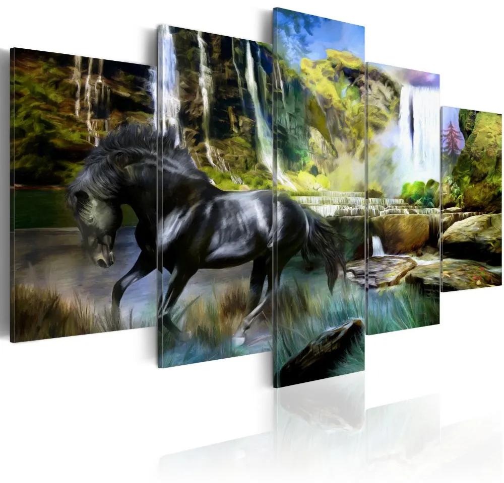 Obraz na plátně Bimago - Black horse on the background of paradise waterfall 100x50 cm