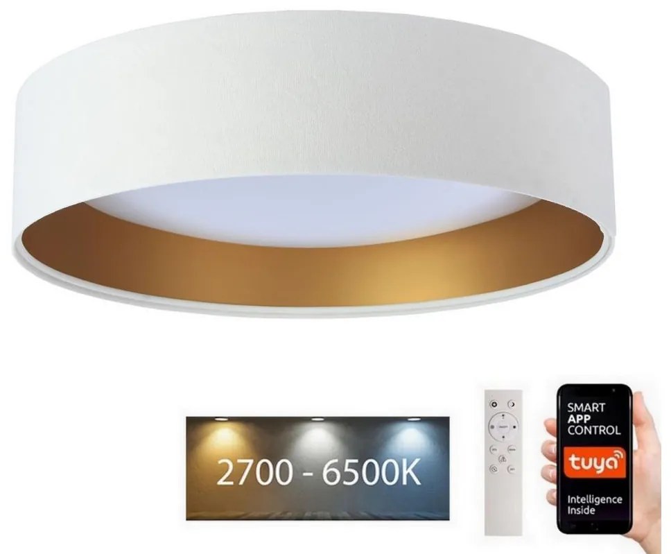 BPS Koncept LED Stropní svítidlo SMART GALAXY LED/24W/230V Wi-Fi Tuya bílá/zlatá + DO BS0509