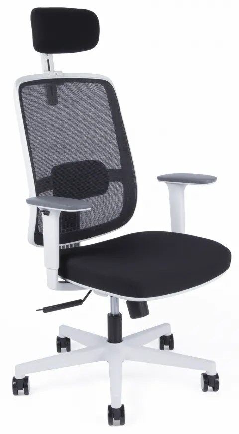 Kancelářská ergonomická židle Office Pro CANTO W — černá / bílá