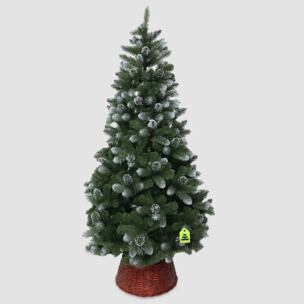 Borovice zasněžená 150 cm