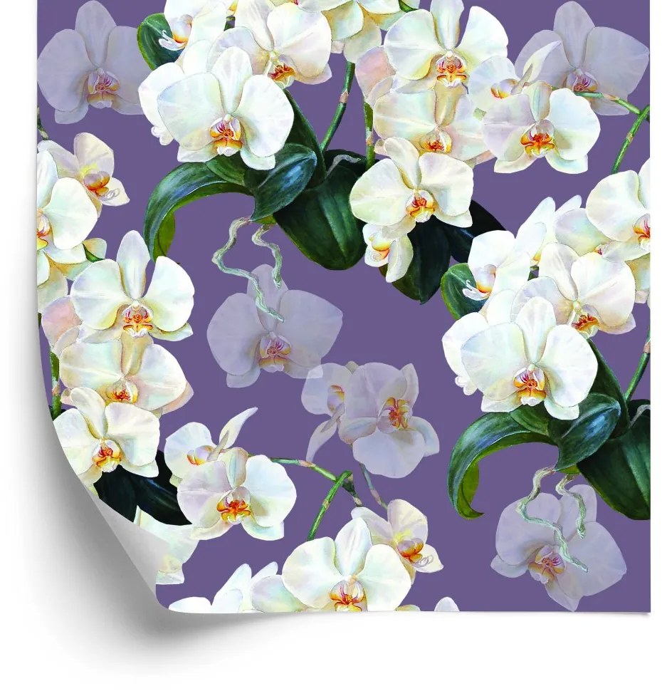 Tapeta Na Zeď Pro Salon Orchideje, Květiny, Příroda, Rostliny Vliesová tapeta 53x1000
