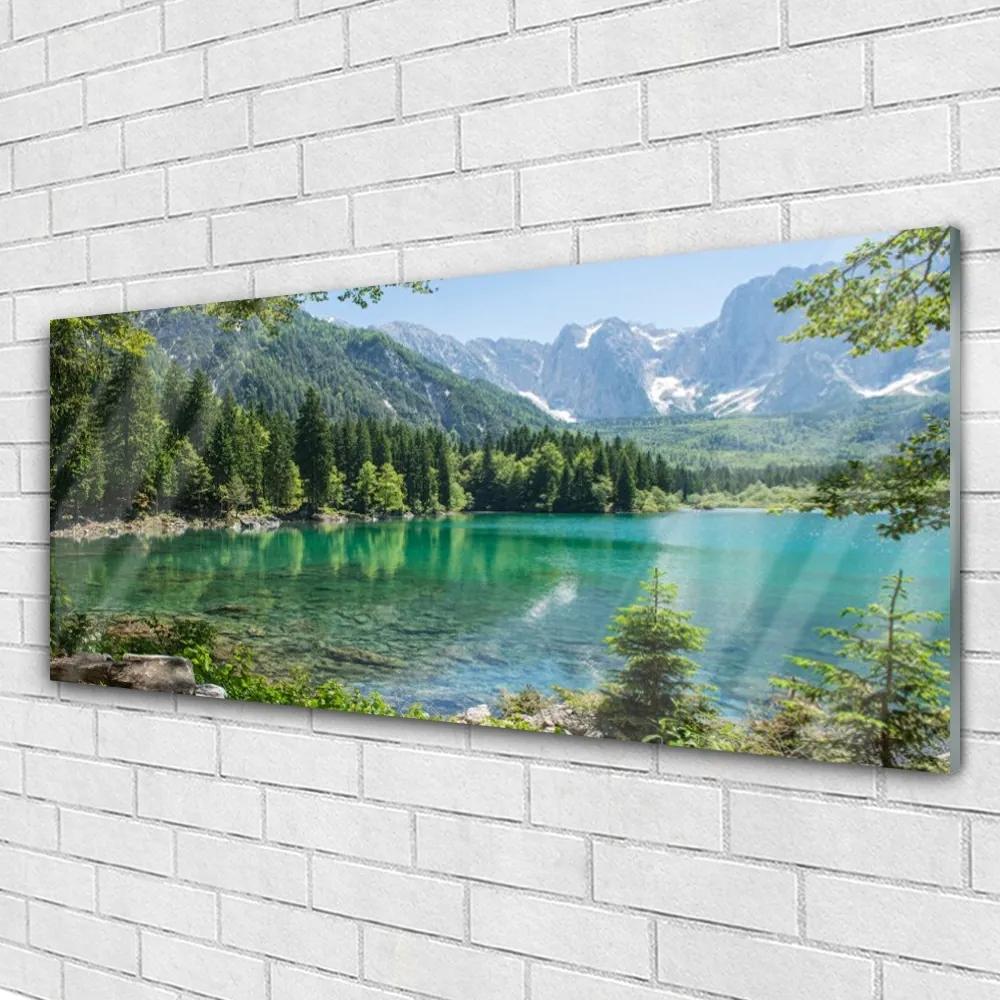 akrylový obraz Hory Jezero Les Příroda 125x50 cm