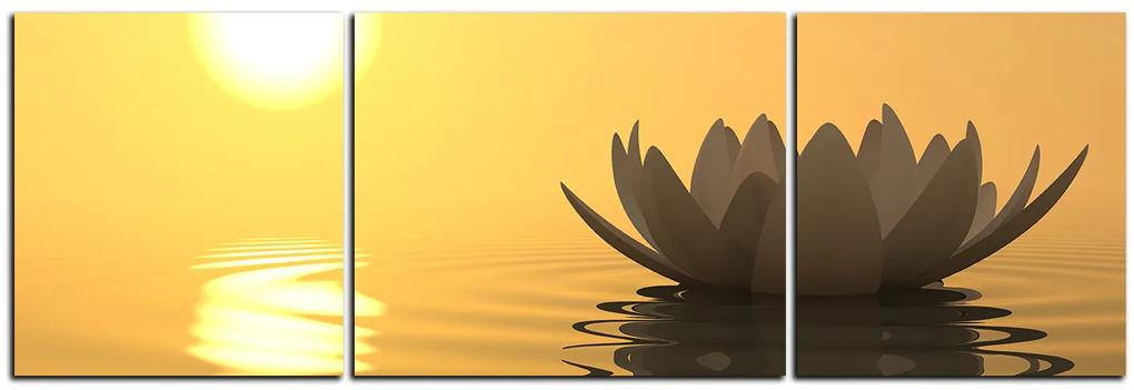 Obraz na plátně - Zen lotus - panoráma 5167C (90x30 cm)