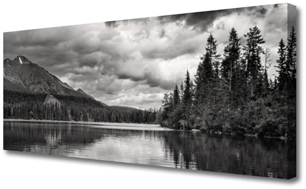 Obraz Canvas Hora Les Jezero Příroda