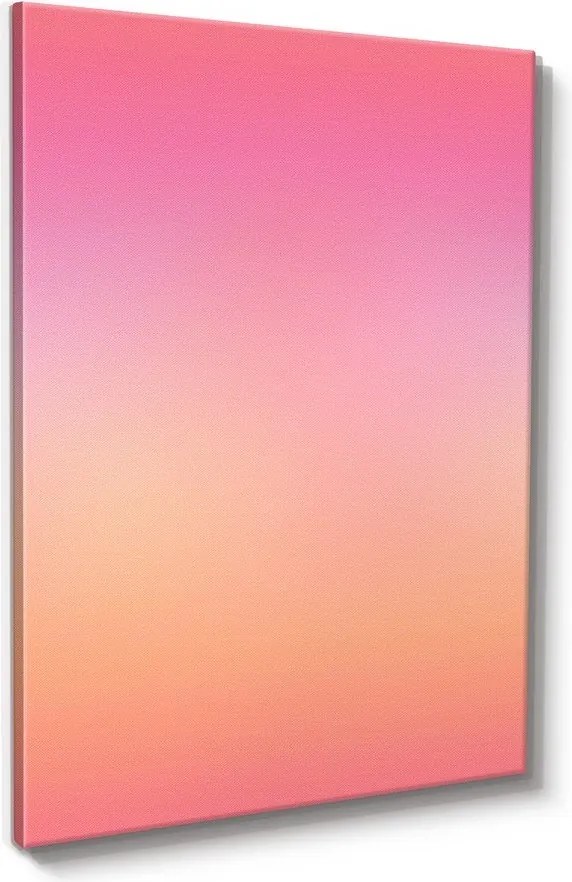 Tištěný obraz na plátně 70x100 cm Pink Aura – Styler