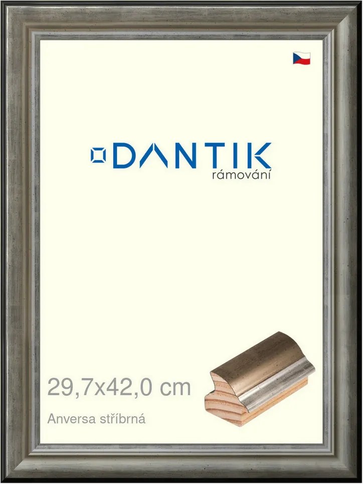 DANTIK rámeček 29,7x42 | ANIVERSA stříbrná (Plexi Čiré)