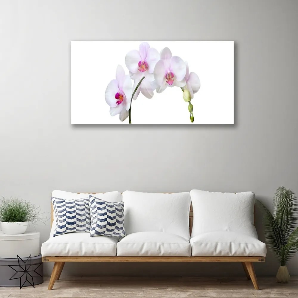 Obraz na skle Vstavač Orchidej Květiny 120x60 cm