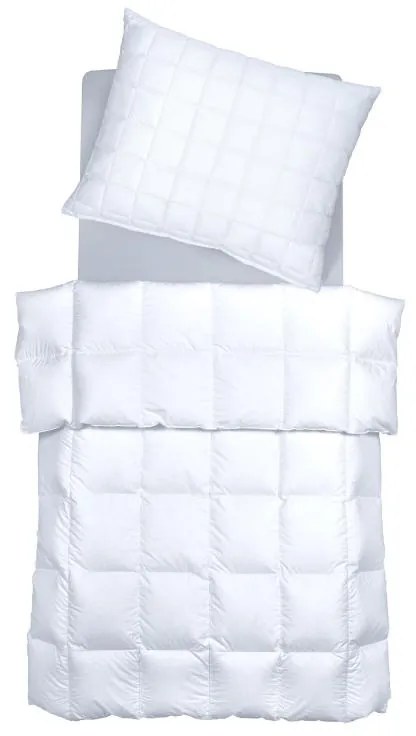 SCANquilt přikrývka EXCLUSIVE SATÉN - bavlna s Aloe vera celoroční - hřejivost nižší Sq 4 140 x 200 cm