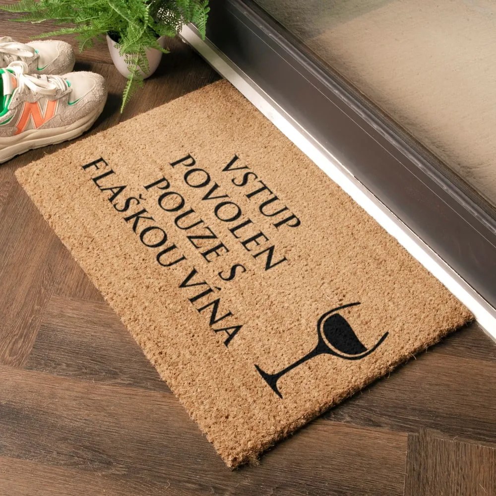 Rohožka z kokosového vlákna 40x60 cm Flaška Vína – Artsy Doormats