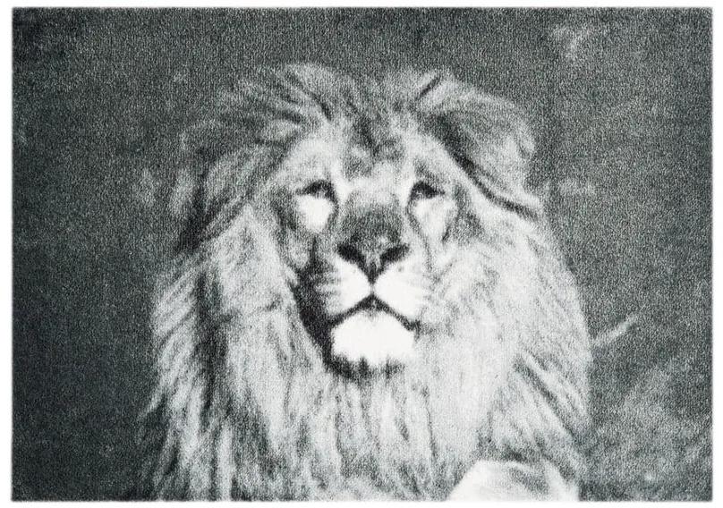 Šedá rohožka Mint Rugs StateMat Lion, 50 x 70 cm