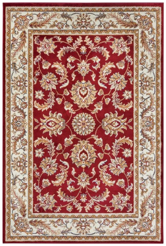 Hanse Home Collection koberce Kusový koberec Luxor 105642 Reni Red Cream ROZMĚR: 140x200
