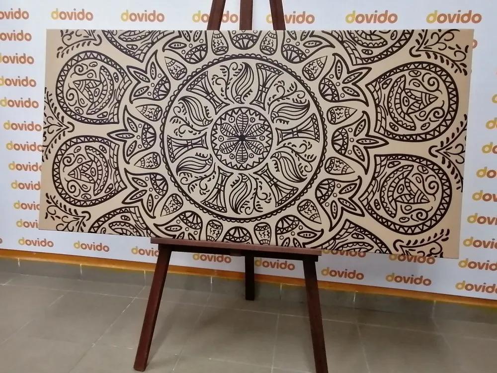 Obraz Mandala s abstraktním přírodním vzorem - 100x50 cm