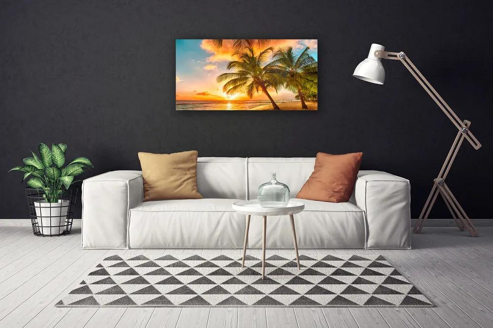 Obraz na plátně Palma Strom Moře Krajina 120x60 cm