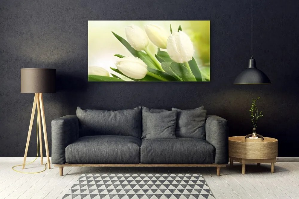 akrylový obraz Tulipány Květiny Rostlina 120x60 cm