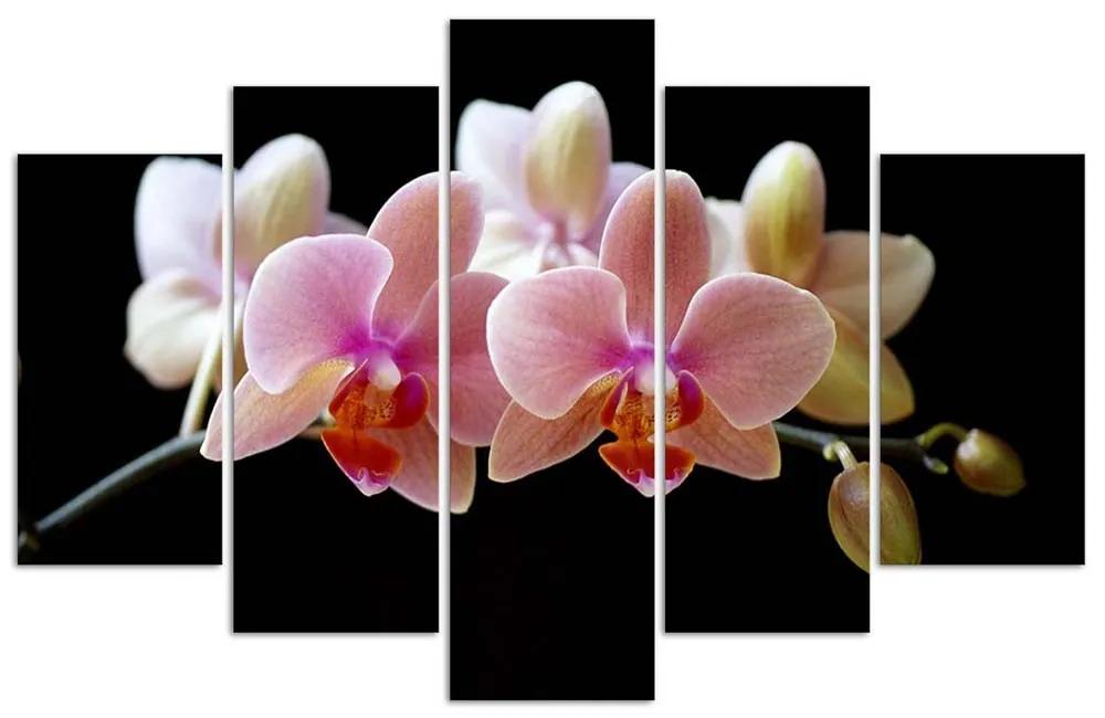 Gario Obraz na plátně Růžová orchidej - 5 dílný Rozměry: 100 x 70 cm