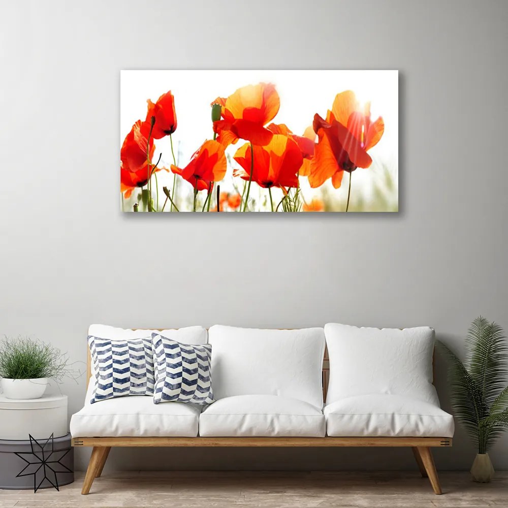 Obraz na plátně Máky Rostlina Příroda 140x70 cm