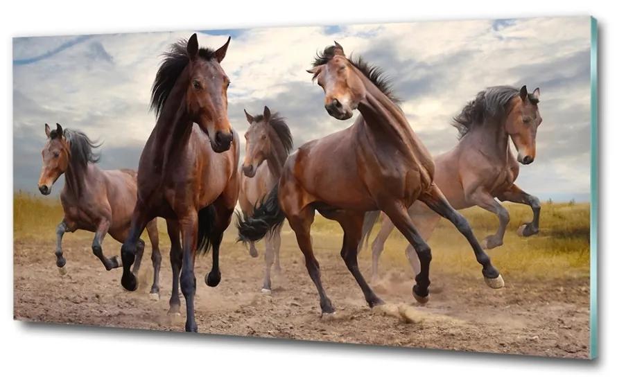 Wallmuralia Fotoobraz na skle Pět koní 100x50