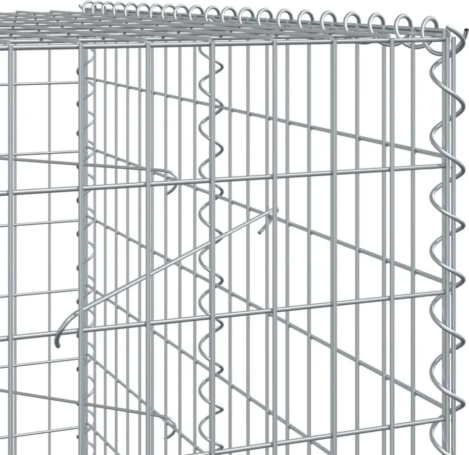 Gabionový koš s víkem 250 x 100 x 200 cm pozinkované železo 3295228