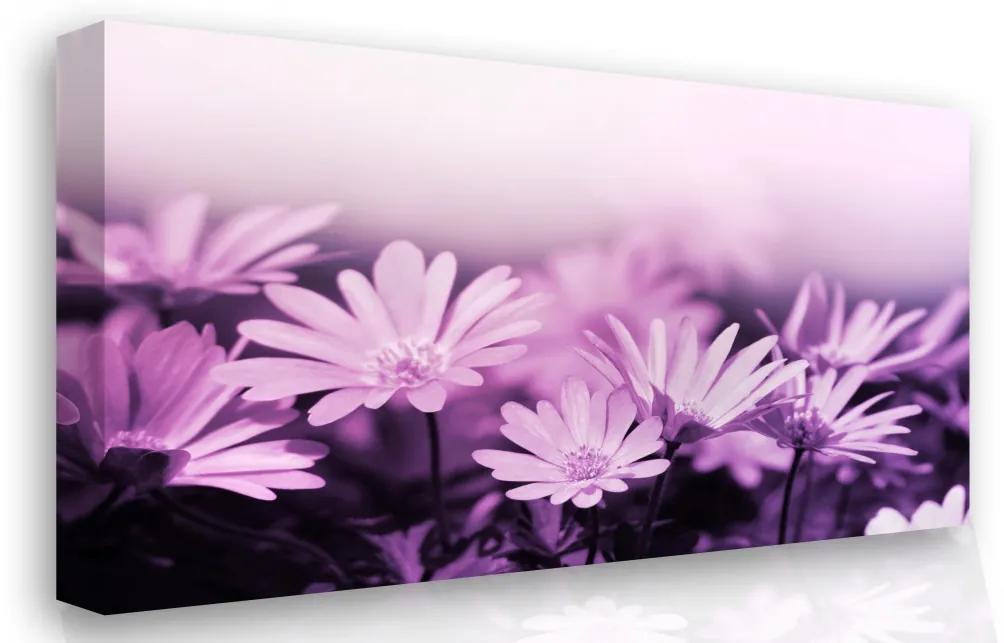 InSmile ® Obraz - fialové květy Velikost: 120x80 cm