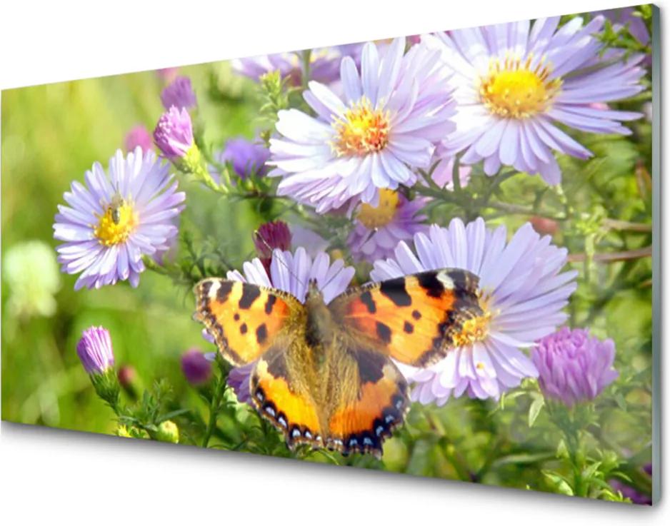 Akrylové obraz Květiny Motýl Příroda