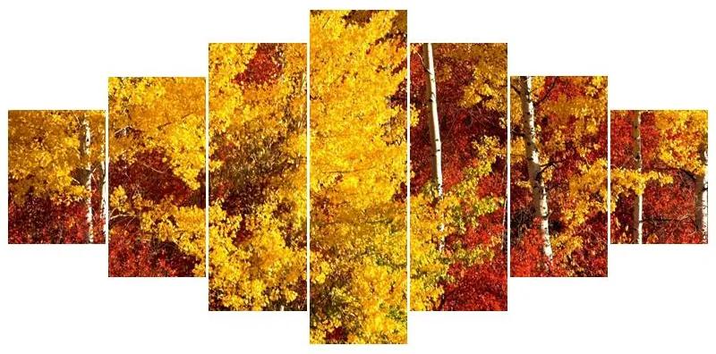 Obraz podzimního listí (210x100 cm), 40 dalších rozměrů