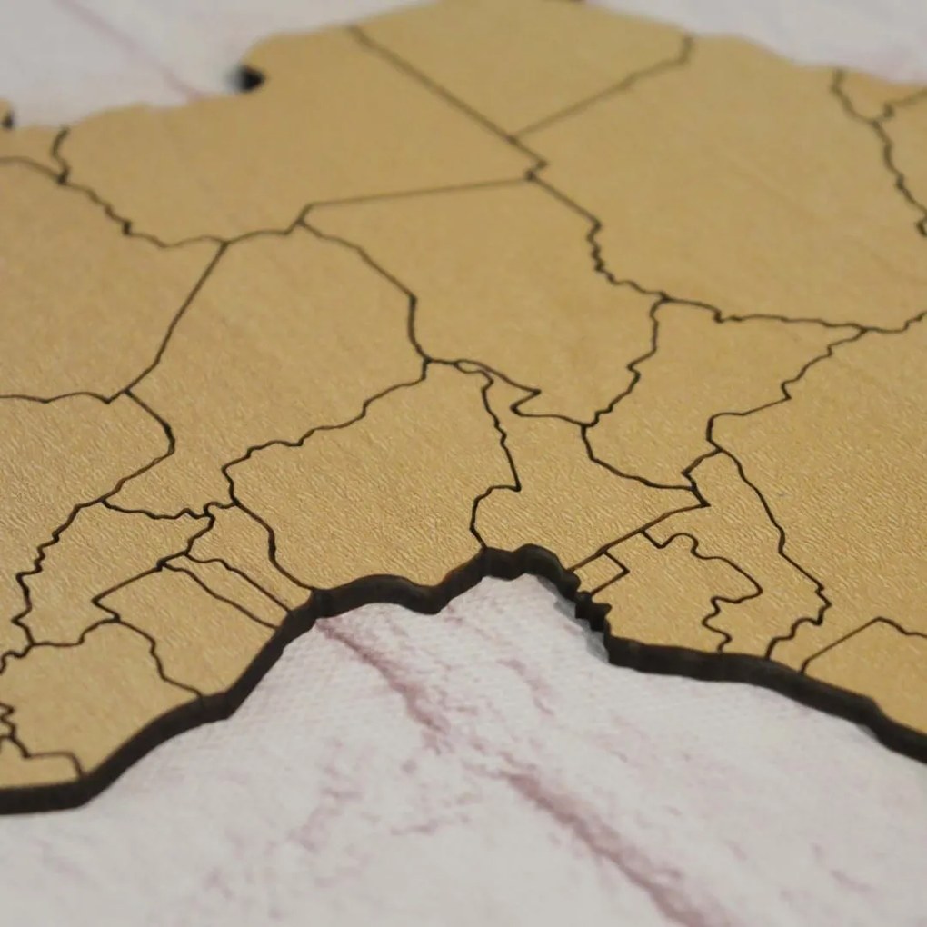 DUBLEZ | Dřevěná 3D mapa světa s vyznačenými hranicemi států | Obraz