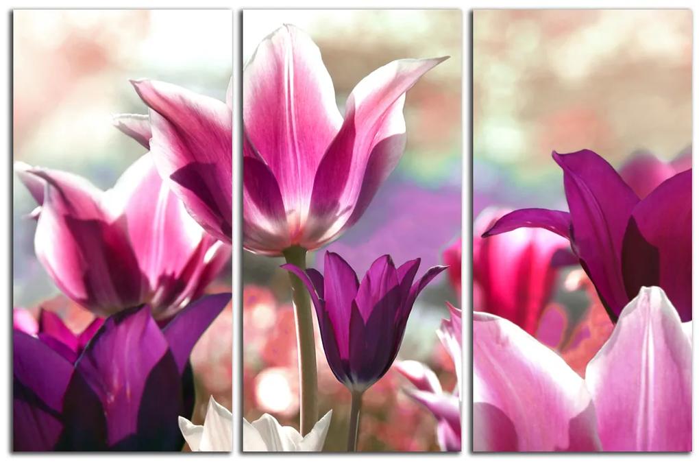 Obraz Fialové tulipány , vícedílný