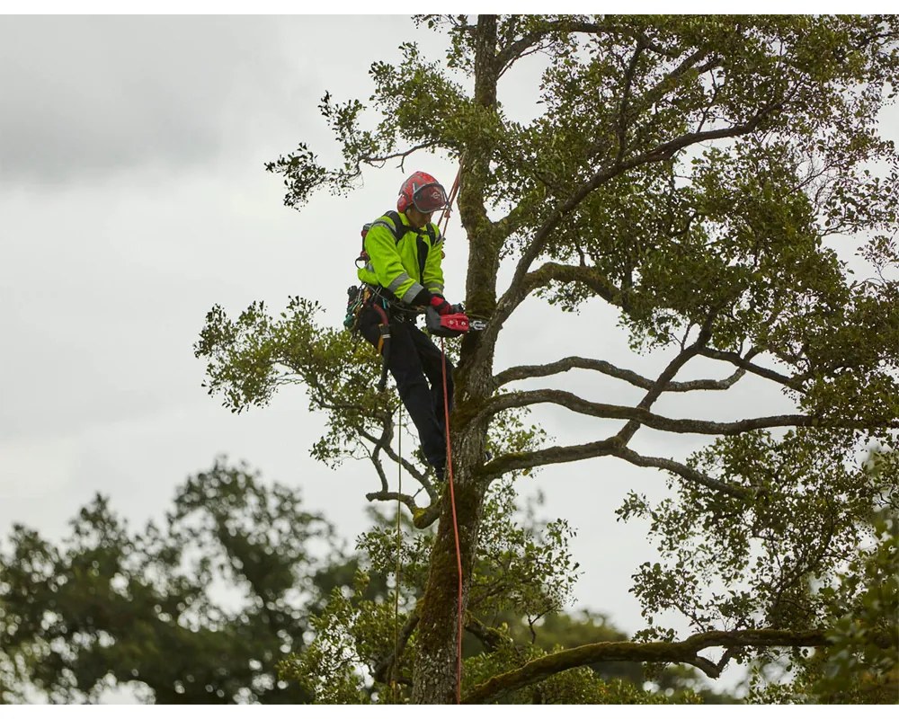 Akumulátorová řetězová pila CRAMER 82TCS15 (Dodáváno bez baterie a nabíječky)