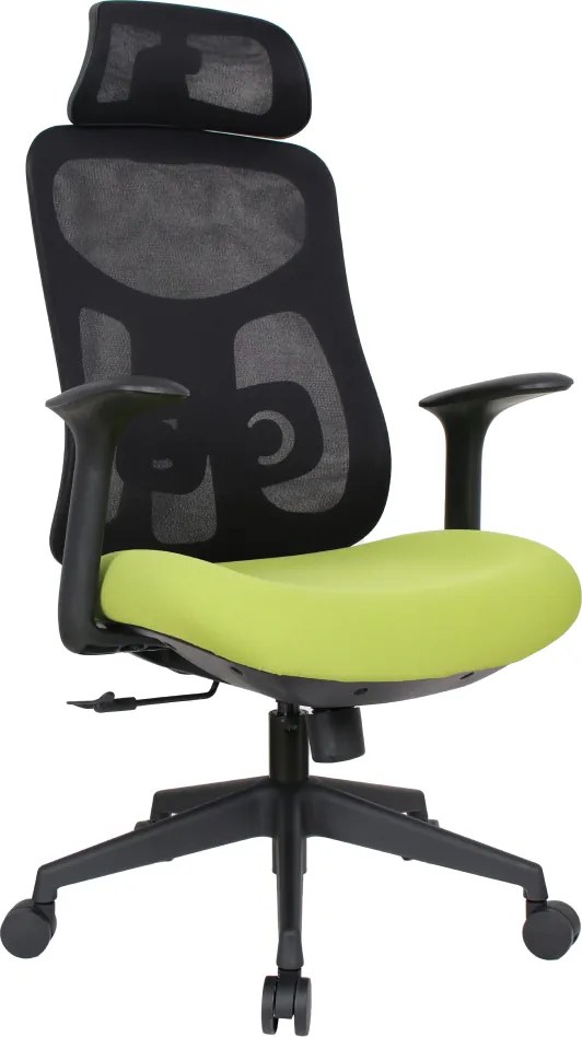 Ergonomická kancelářská židle LERO - černá síťovina / zelená látka / nosnost 150 kg