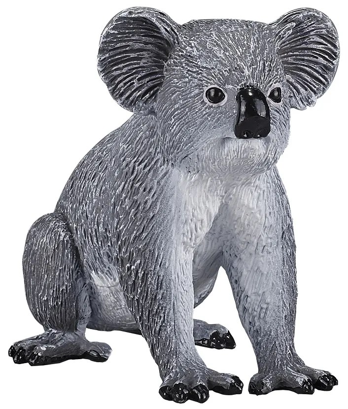 Mojo Koala