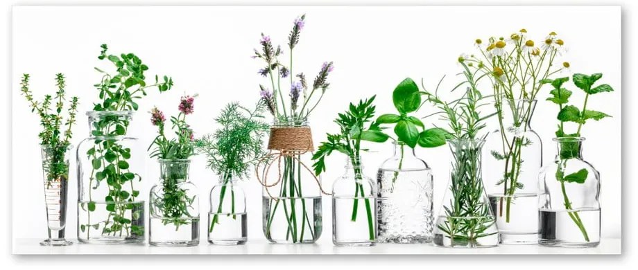 Obraz Styler Glasspik Herbs, 30 x 80 cm