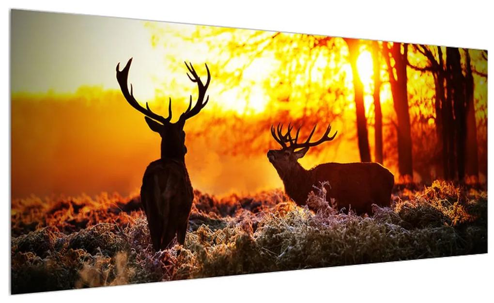 Obraz jelenů (100x40 cm)