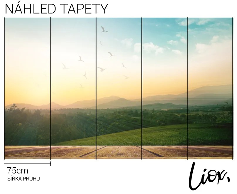 Tapeta ptáci při východu slunce nad údolím