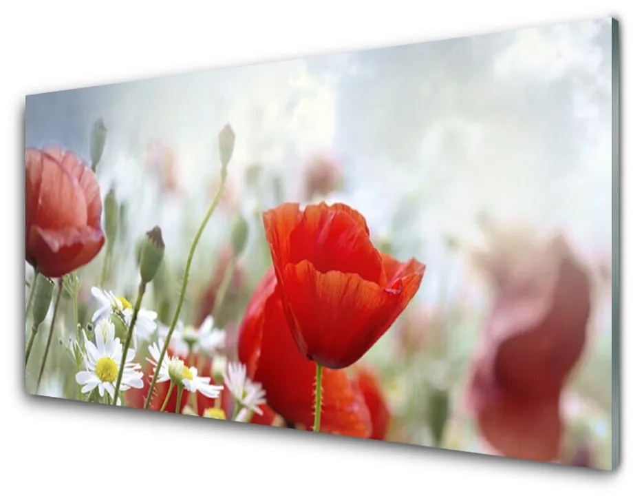 Obraz na skle Květiny Plátky Rostlina 125x50 cm