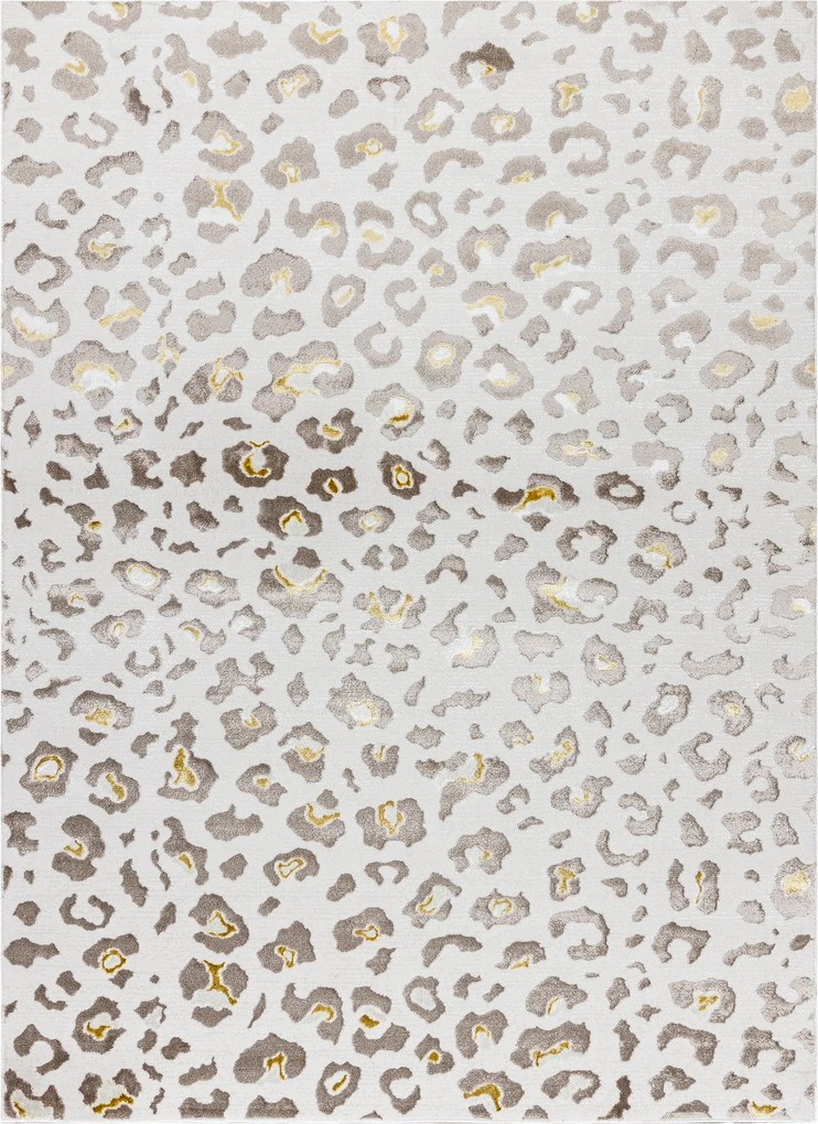 Dywany Łuszczów, Kusový koberec Bliss Z232AZ128 cream/beige, 160x220, béžová, kancelář