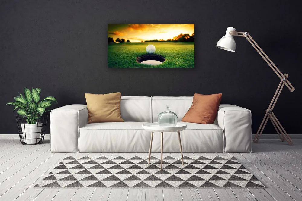 Obraz na plátně Golfový Míček Tráva Příroda 120x60 cm