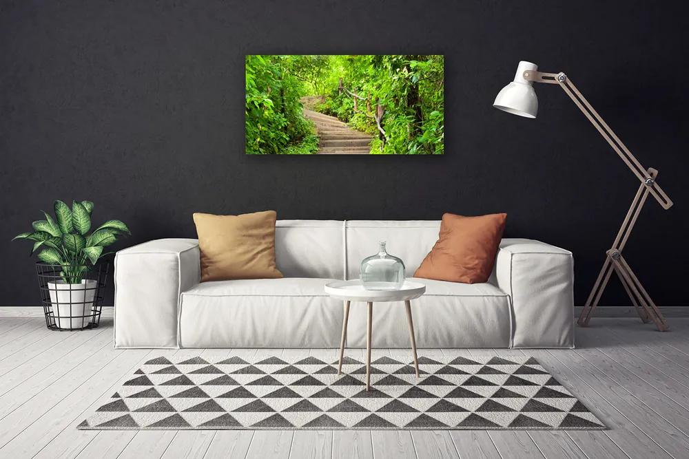 Obraz na plátně Schody Příroda 120x60 cm