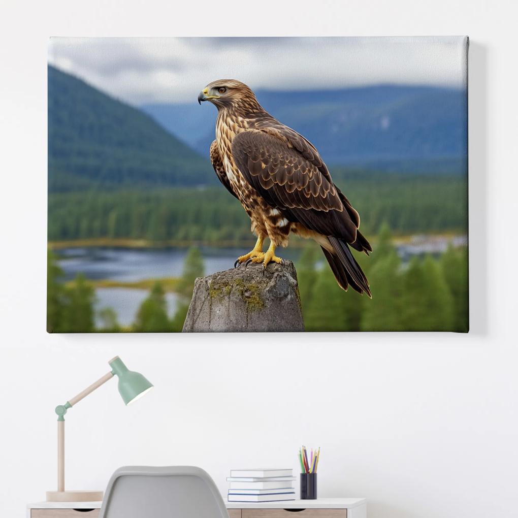Obraz na plátně - Káně lesní sedí a rozhlíží se FeelHappy.cz Velikost obrazu: 120 x 80 cm