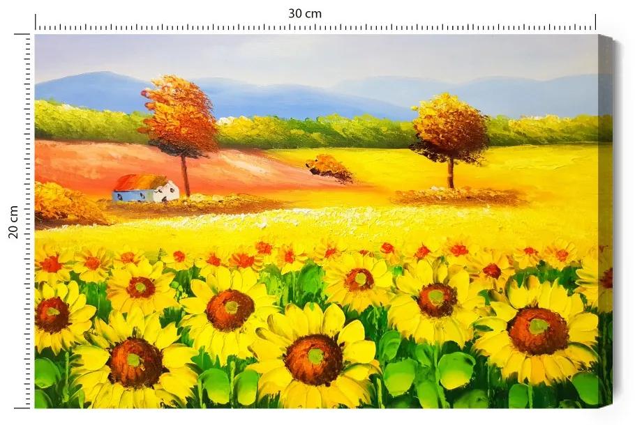 Obraz Barevná Krajina Se Slunečnicemi Jako Malovaná Nedostatek Nedostatek Plátno Canvas 30x20