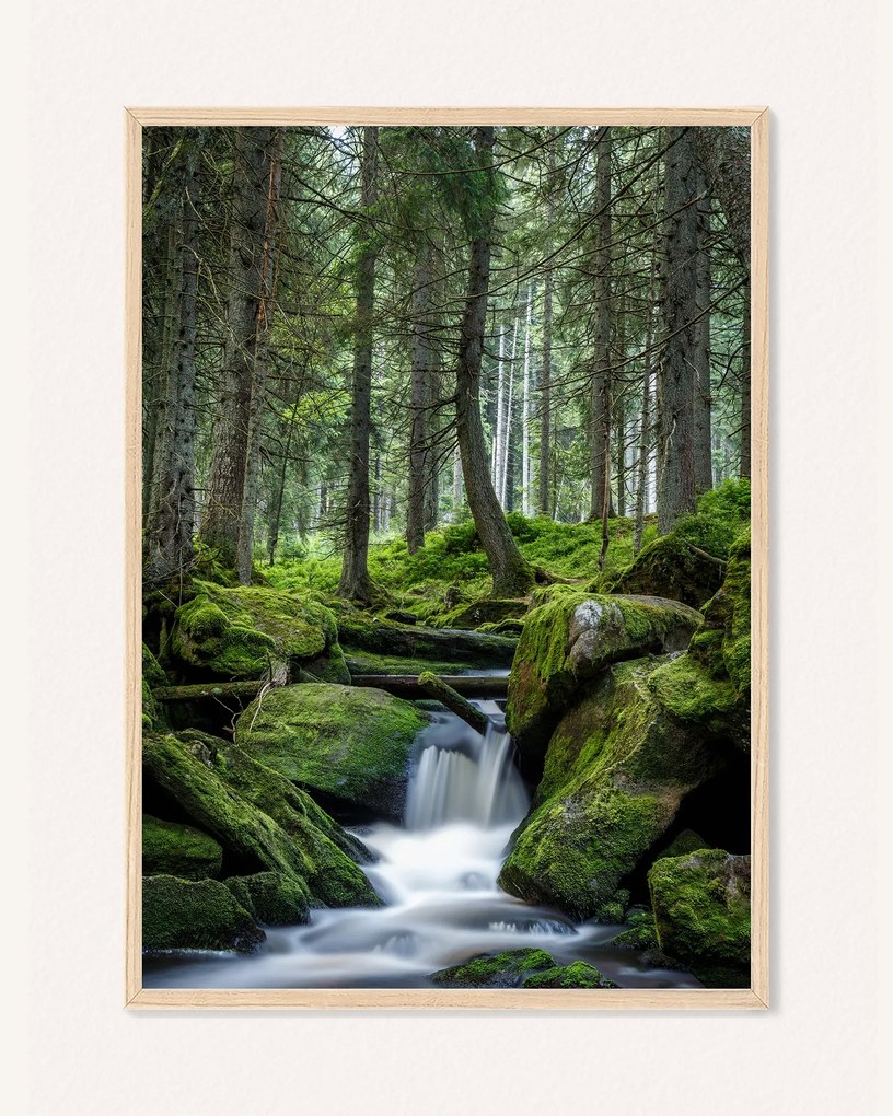 Oboustranný plakát Lesní Vodopád / Lesní Lávka | 30 x 42 cm | DP351321