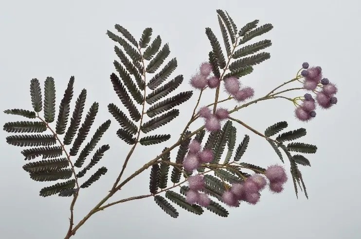 Umělá květina Silk-ka Citlivka fialová 134cm