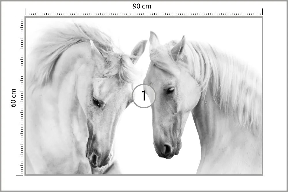 Fototapeta Dva Bílí Koně 3D Vliesová tapeta 135x90