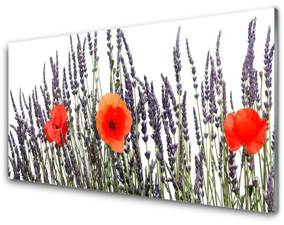 Obraz na skle Květiny Máky Pole Trávy 100x50 cm